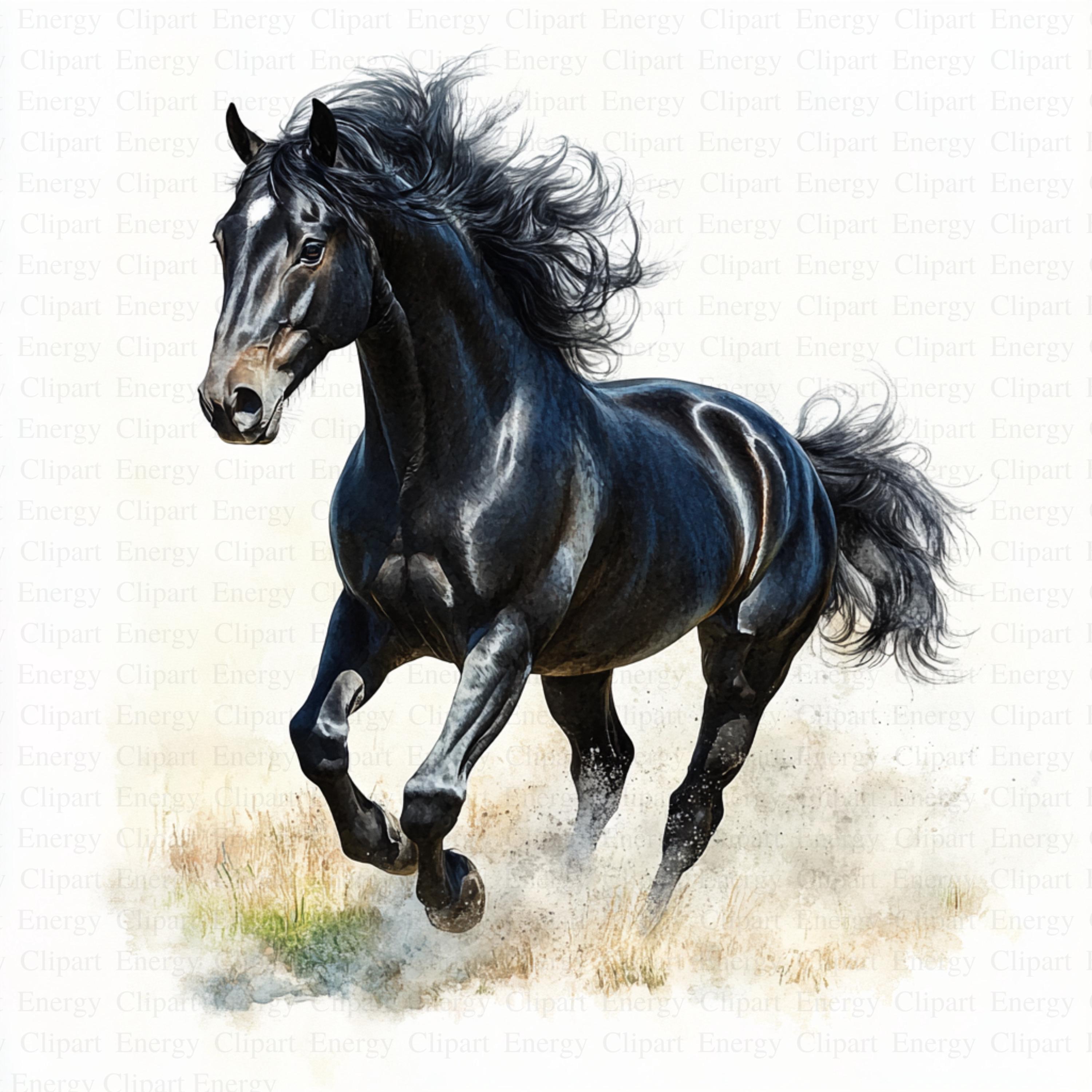 Watercolor Black Horse Clipart | 5 High Quality Jpg's | Digital ...