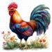 Watercolor Cockerel Clipart 5 High Quality Jpg's Digital Download ...