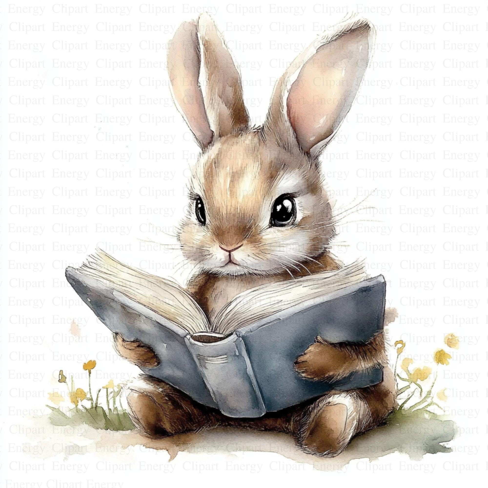 Bunny Reading Book Clipart | 5 High Quality Jpgs | Digital Download ...