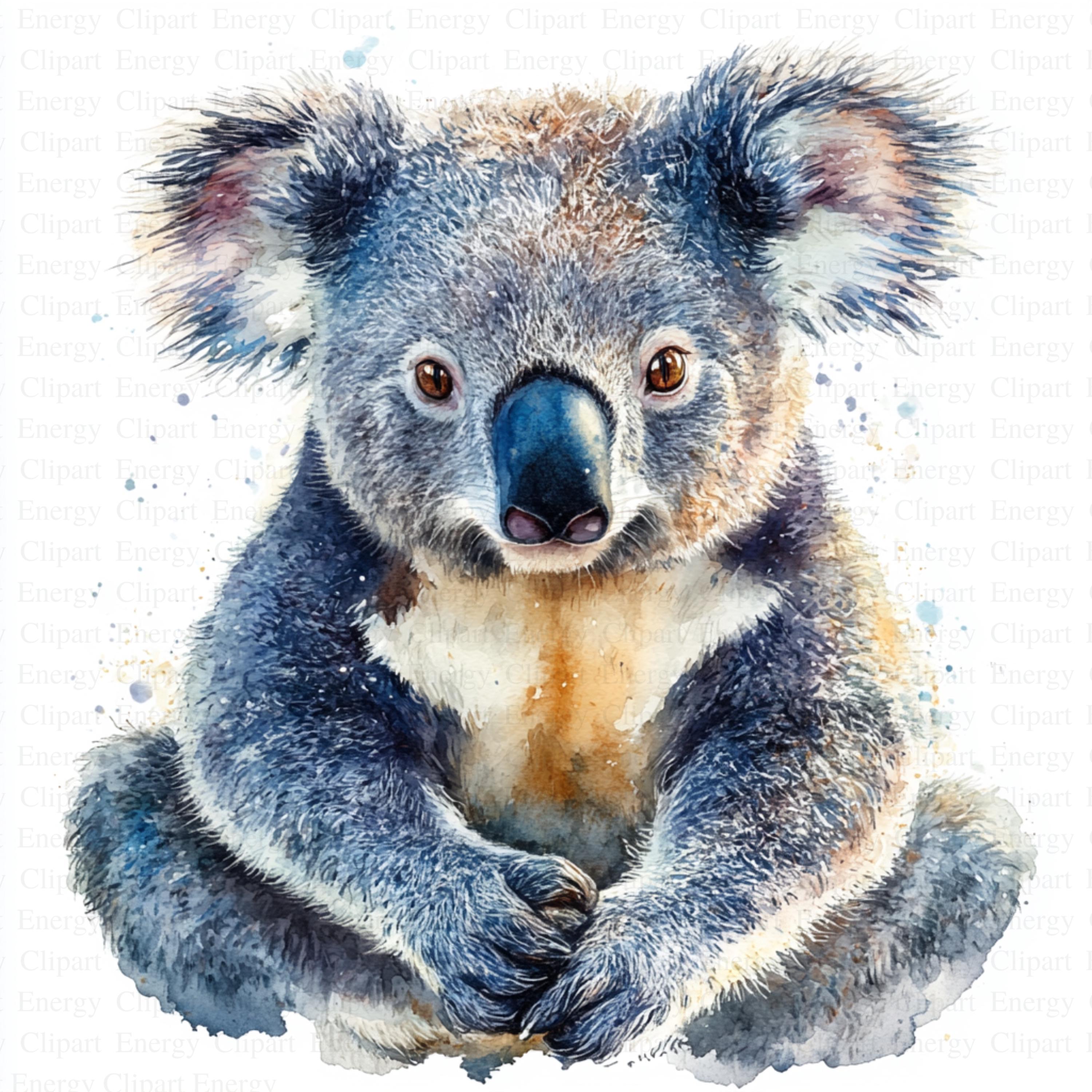 Watercolor Koala Clipart | 5 High Quality Jpg's | Digital Download ...