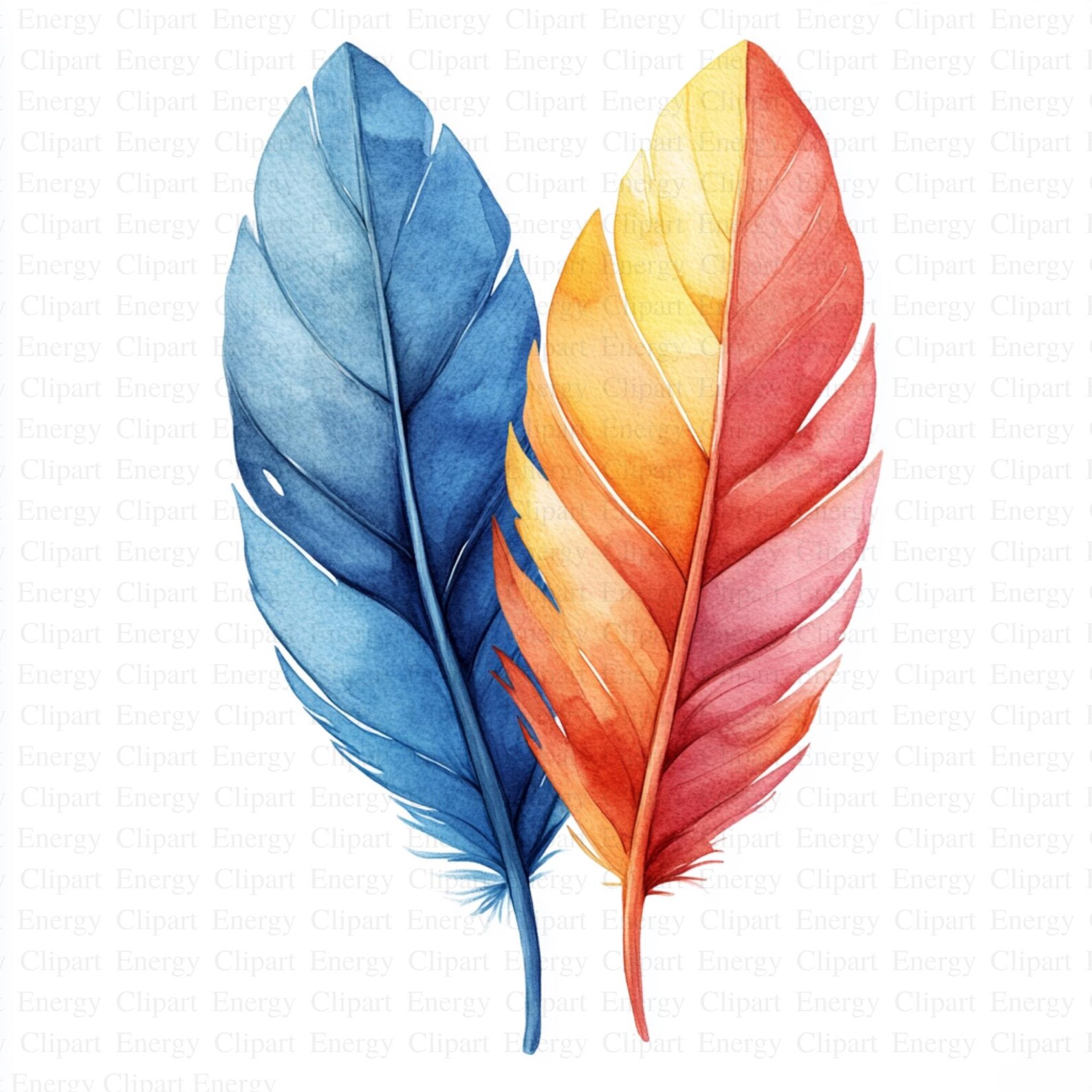 Boho Feather Clipart | 5 High Quality Jpgs | Digital Download ...