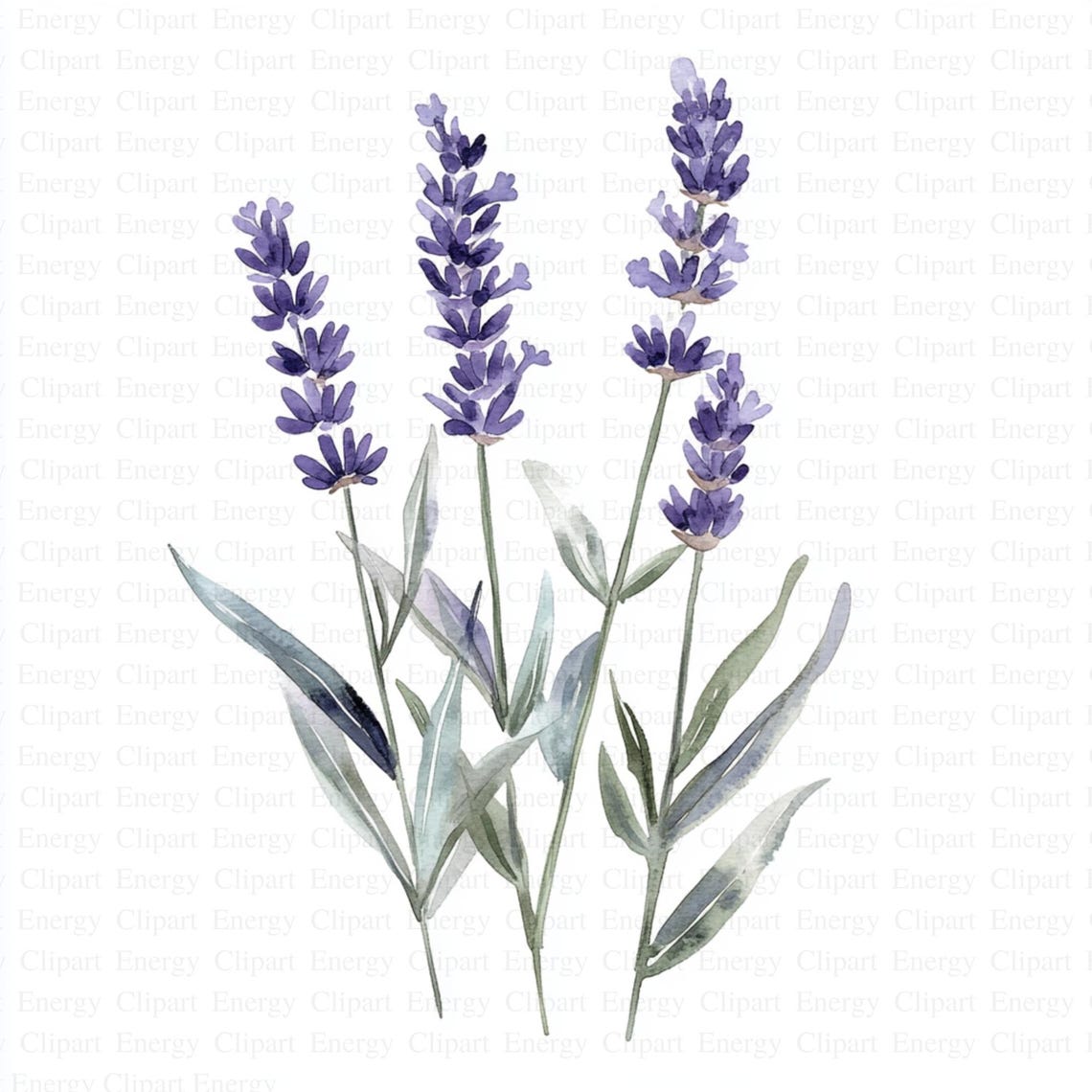 Lavender Printable | 5 High Quality Jpgs | Digital Download | Floral ...