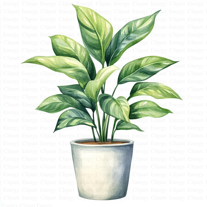 Houseplant Clipart 5 High Quality Jpg's Digital Download Indoor Plant ...