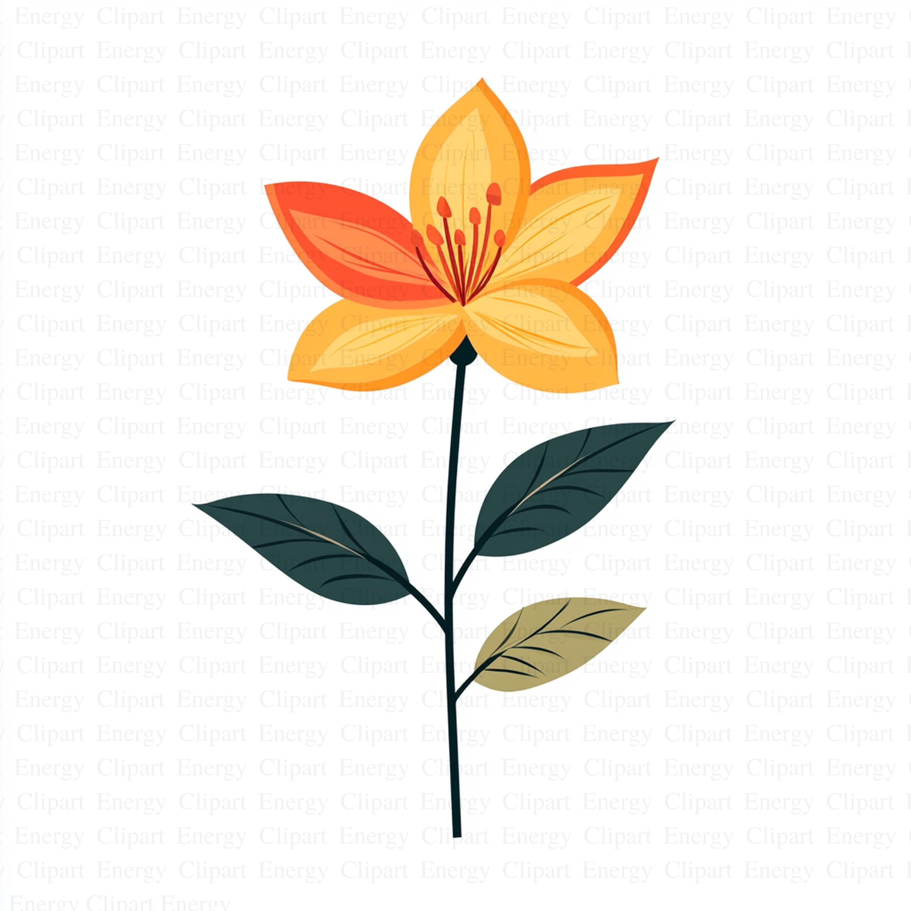 Autumn Flowers Clipart | 5 High Quality Jpg's | Digital Download ...