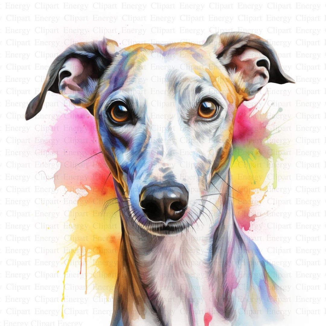 Loveable Whippet Clipart | 5 High Quality Jpgs | Digital Download ...