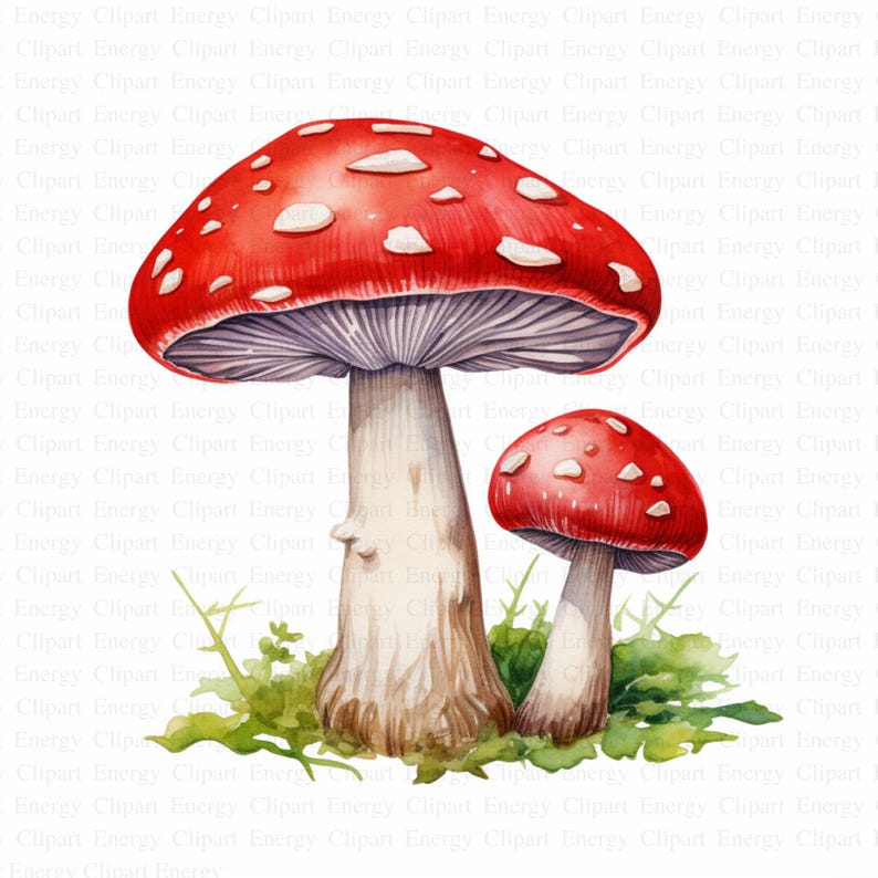 Toadstool Clipart | 5 High Quality Jpgs | Digital Download | Junk ...