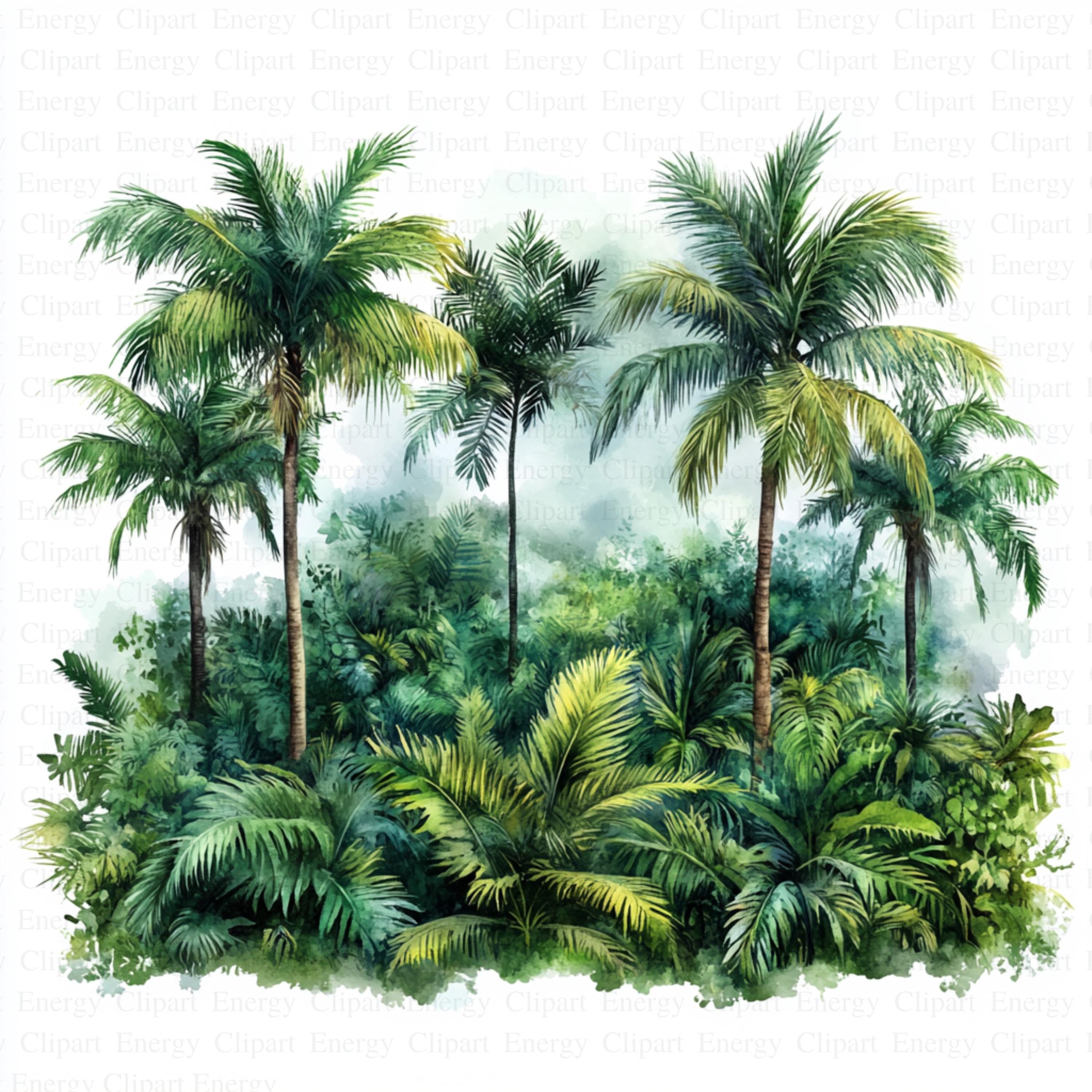 Tropical Forest Clipart | 5 High Quality Jpg's | Digital Download ...