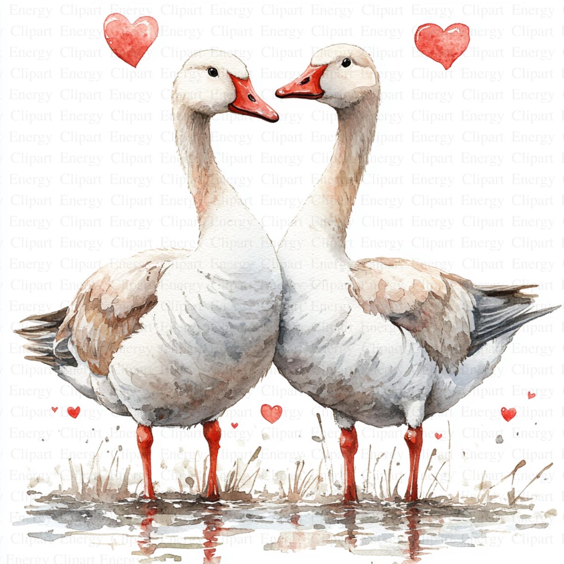 Watercolor Waddling Geese Clipart | 5 High Quality Jpg's | Digital ...