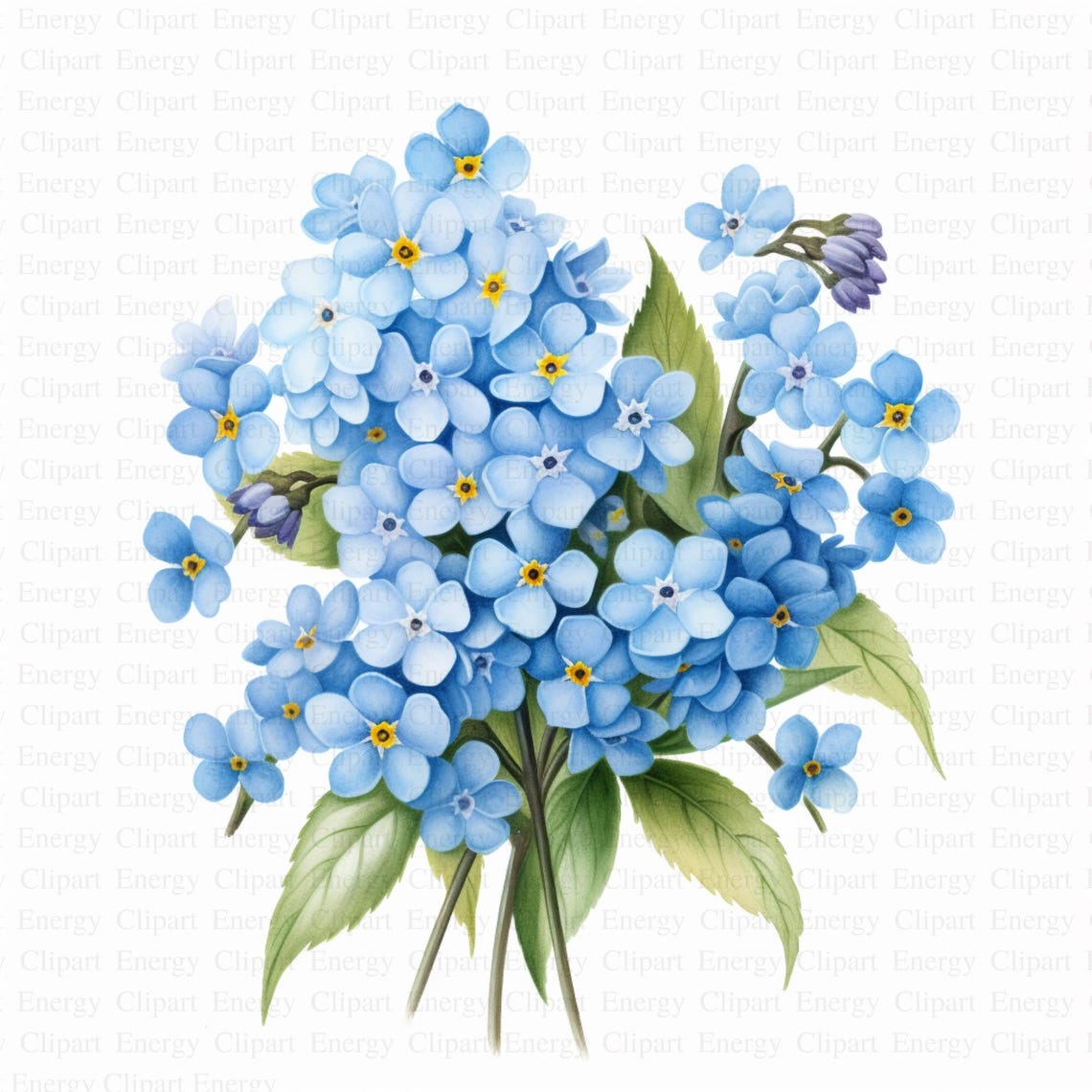 Forget Me Not Clipart 5 High Quality Jpgs Instant Digital Download Junk ...