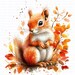 Autumn Squirrel Clipart | 5 High Quality Jpg's | Digital Download ...