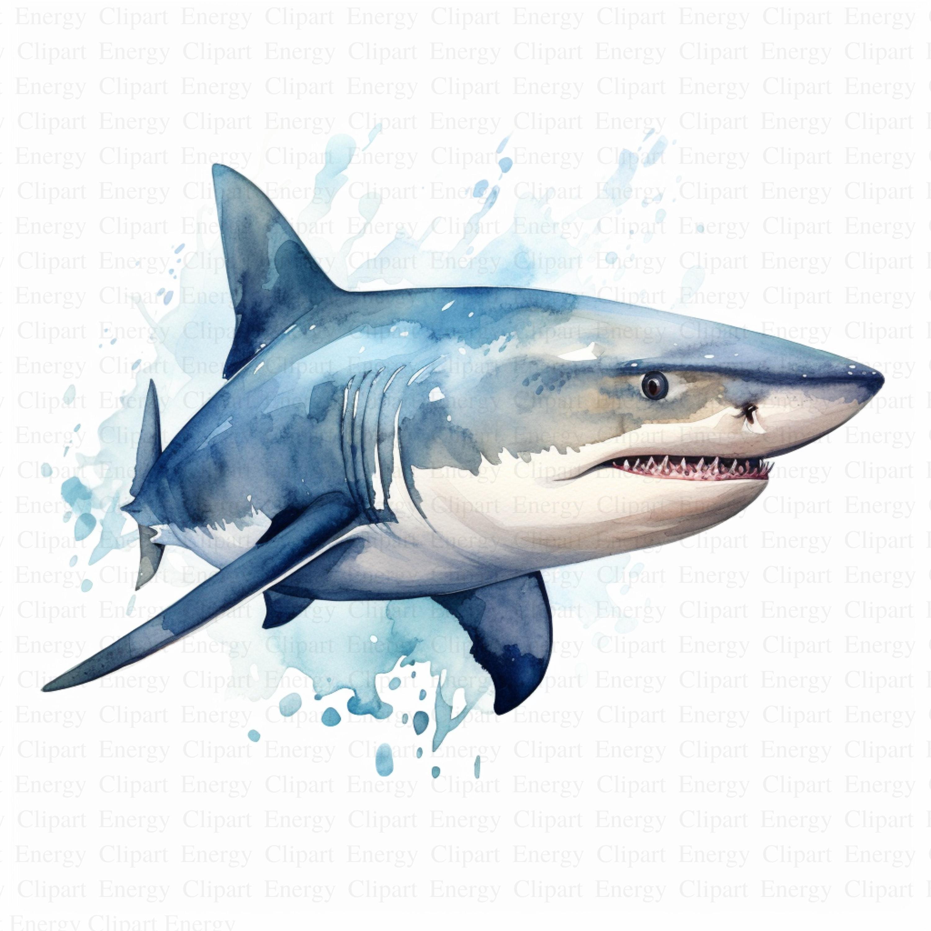 Shark Clipart 5 High Quality Jpg's Ocean Life Art Shark Illustration ...