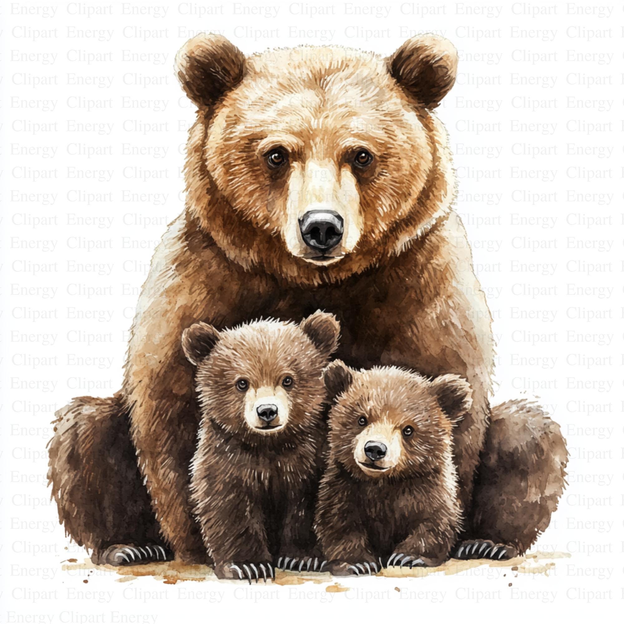 Mother Bear With Cubs Clipart 5 High Quality Jpgs Instant Digital ...