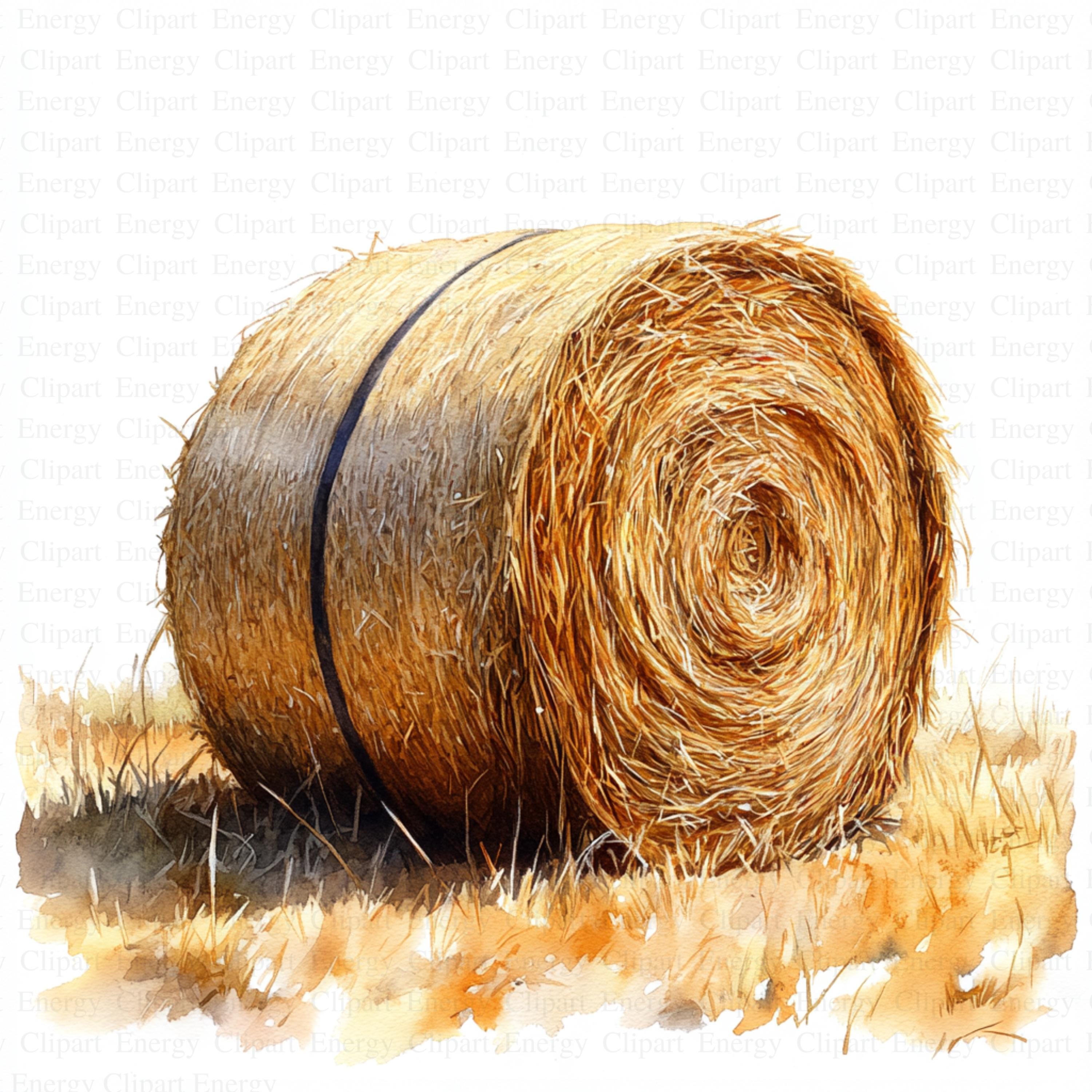 Watercolor Hay Bale Clipart 5 High Quality Jpg's Digital Download Farm ...