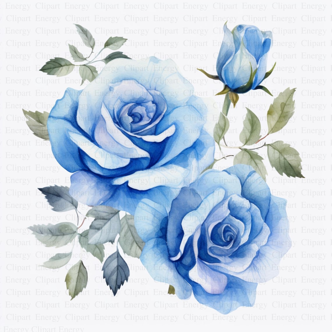 Blue Rose Clipart | 5 High Quality Jpgs | Digital Download | Card ...