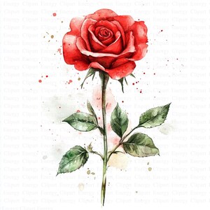 Red Rose Clipart | 5 High Quality Jpg's | Digital Download | Rose ...