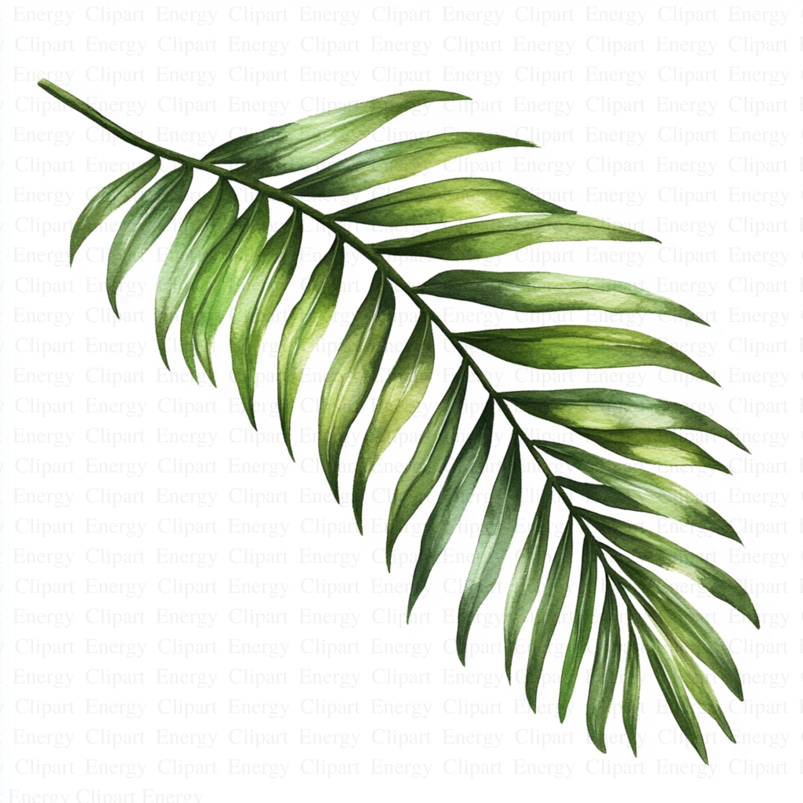 Palm Leaf Clip Art 5 High Quality Jpg's Digital Download Leaves ...