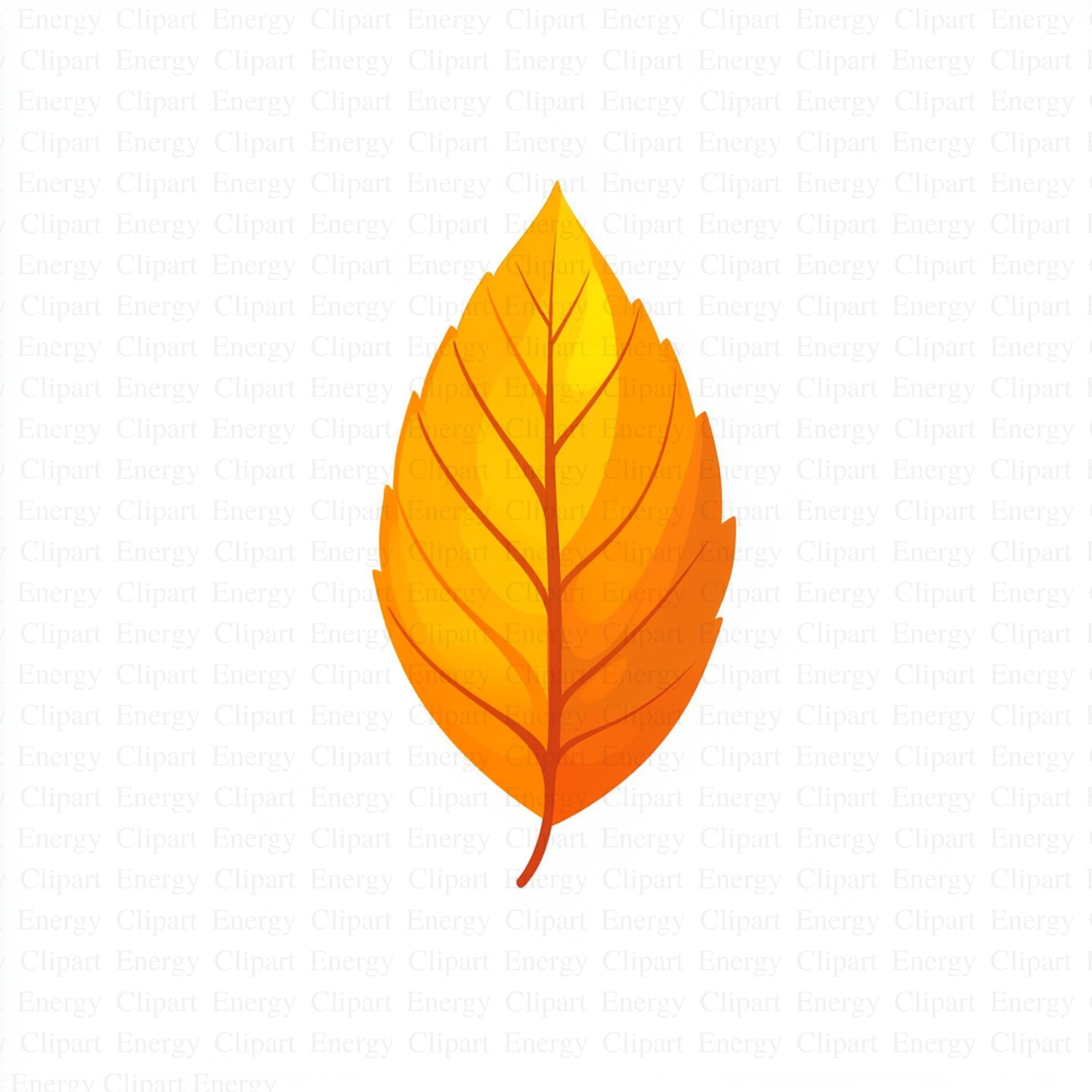 Autumn Leaves Clipart | 5 High Quality Jpg's | Digital Download | Fall ...
