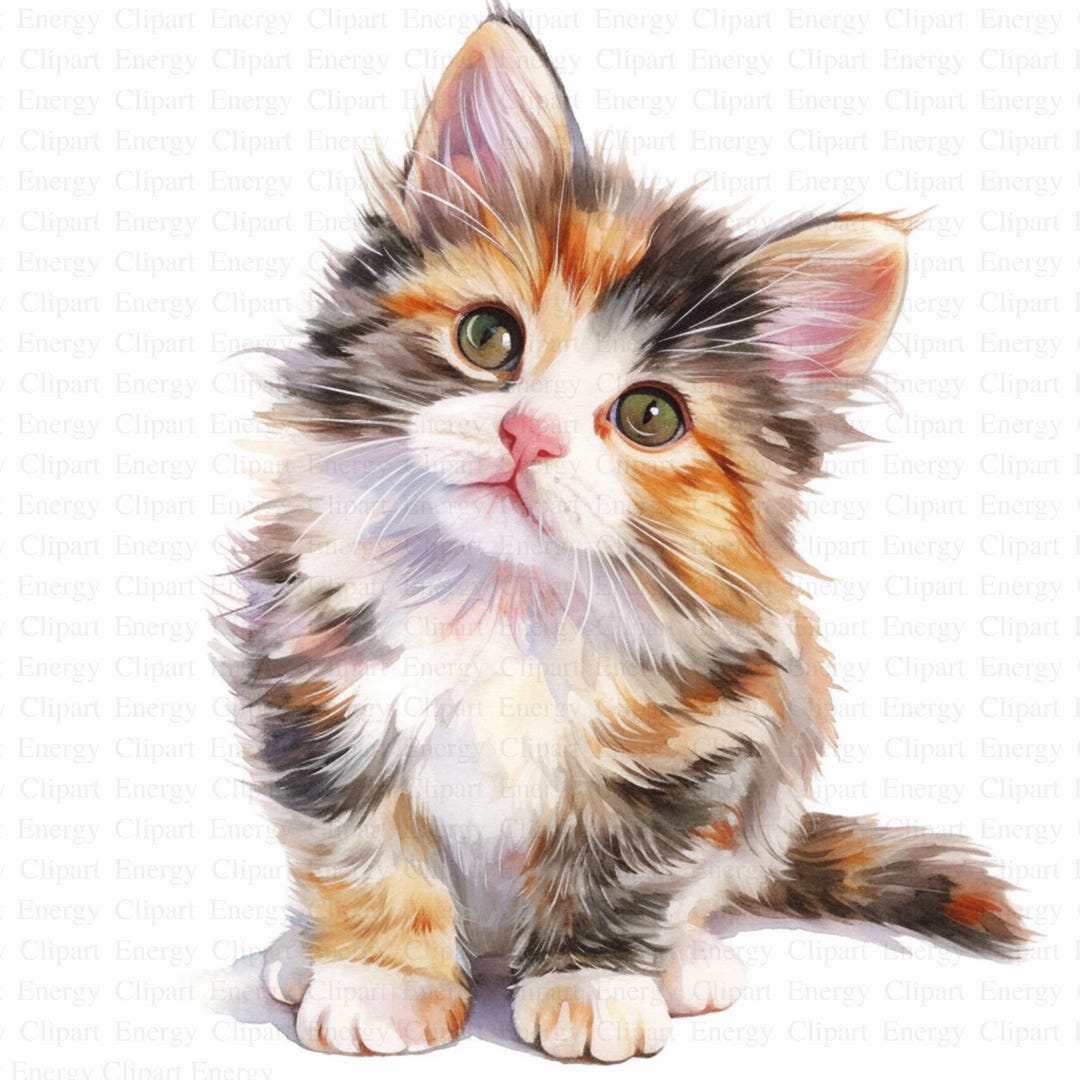 Kitten Clipart | 5 High Quality Jpg's | Digital Download | Pet Art ...