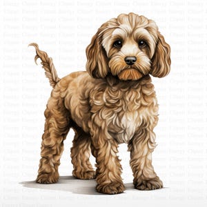 Cockapoo Clipart | 5 High Quality Jpgs | Digital Download | Card Making ...