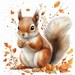 Autumn Squirrel Clipart | 5 High Quality Jpg's | Digital Download ...