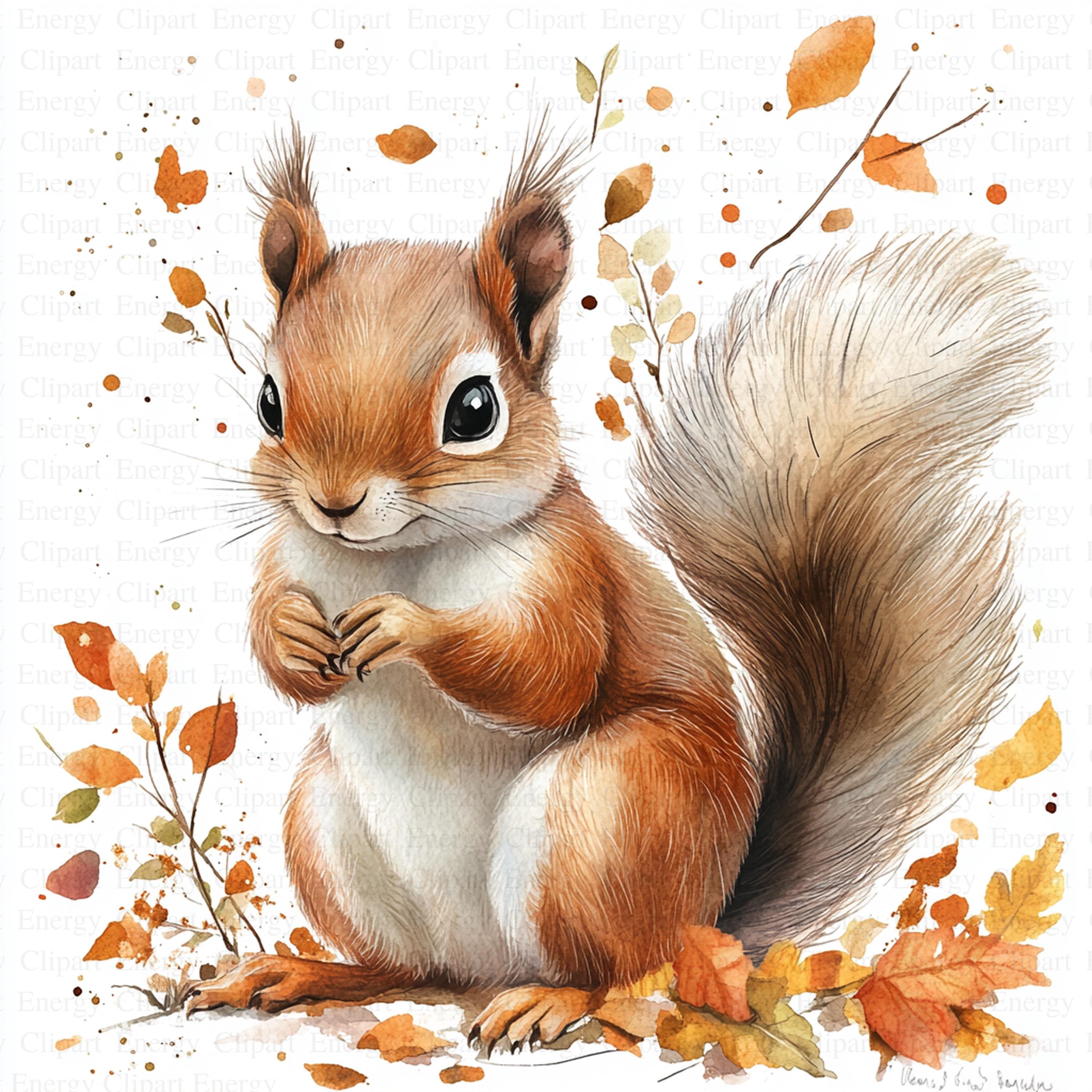 Autumn Squirrel Clipart | 5 High Quality Jpg's | Digital Download ...