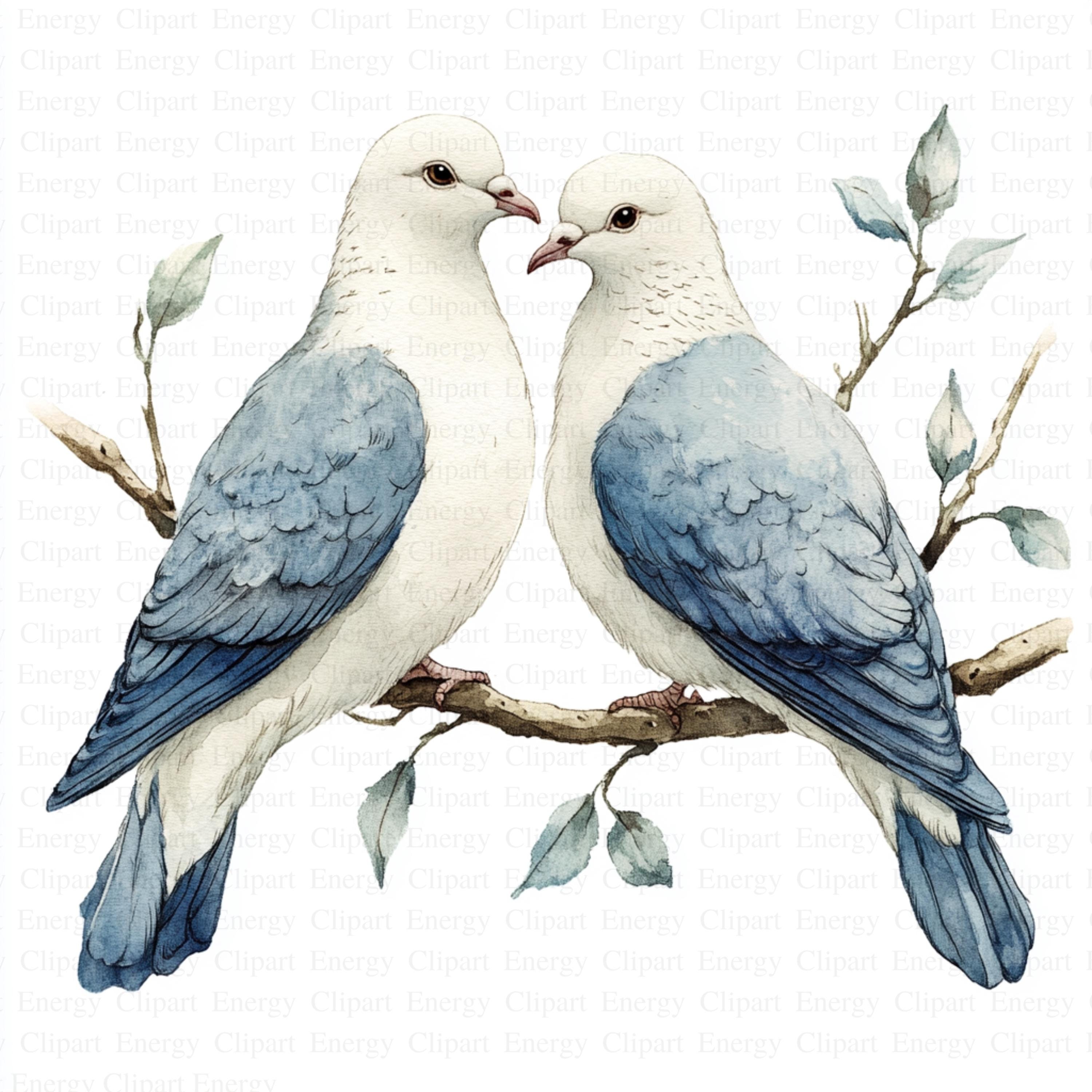 Watercolor Romantic Doves Couple Clipart | 5 High Quality Jpg's ...