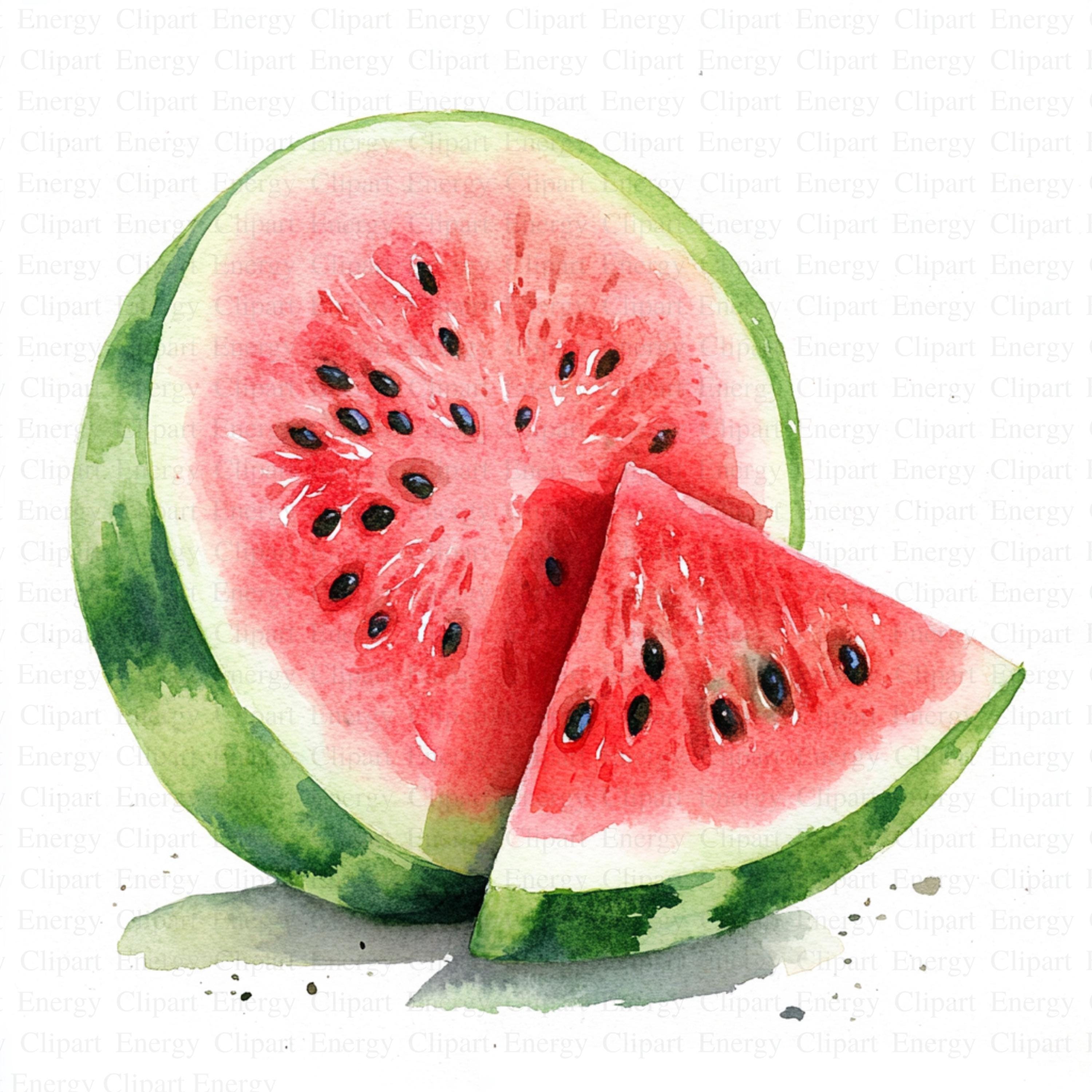 Watermelon Clipart | 5 High Quality Jpgs | Digital Download | Summer ...