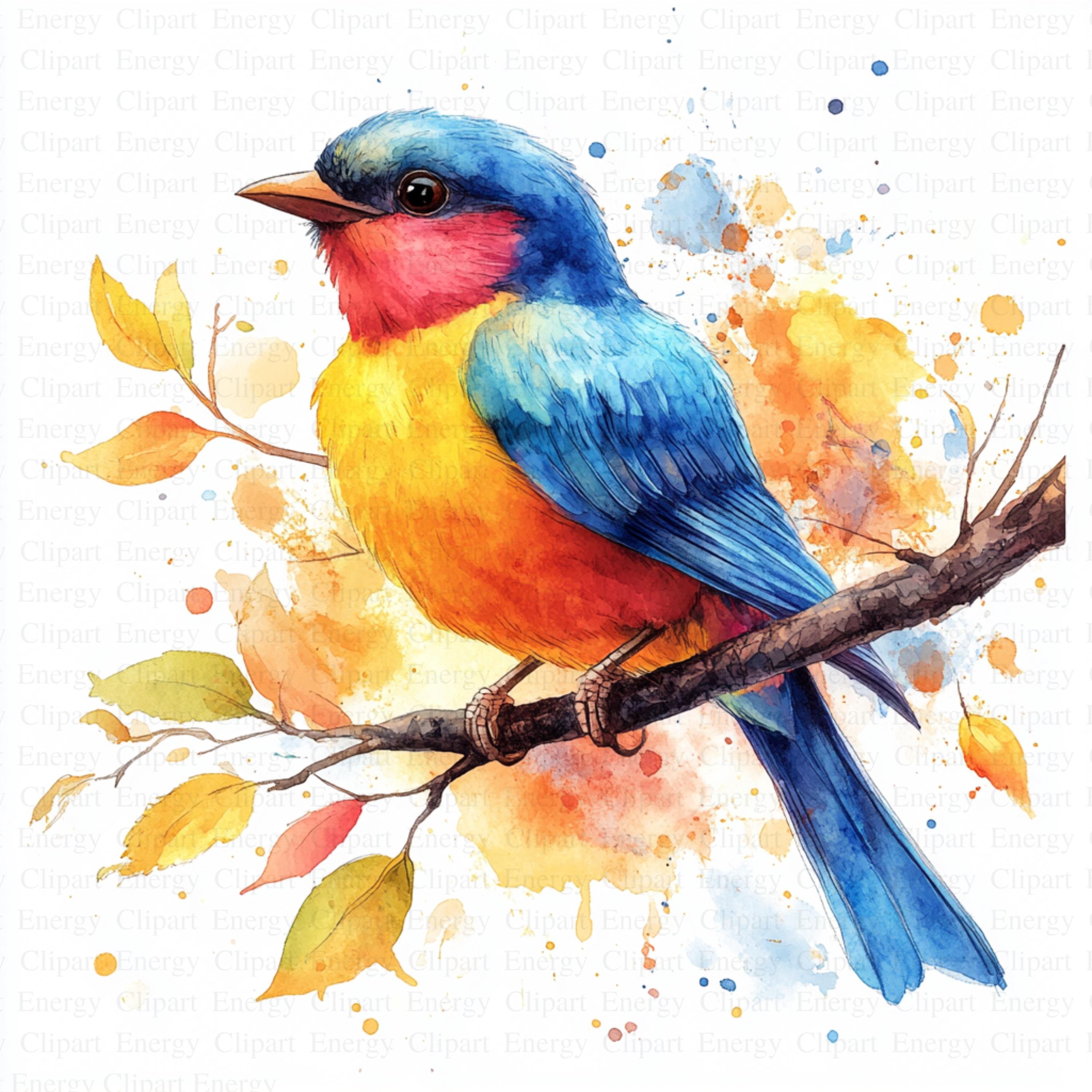 Colorful Bird Clipart 5 High Quality Jpg's Digital Download Bright Bird ...