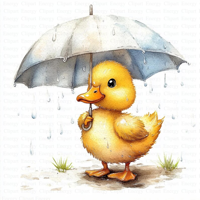 Duckling in Rain Clipart | 5 High Quality Jpgs | Digital Download ...