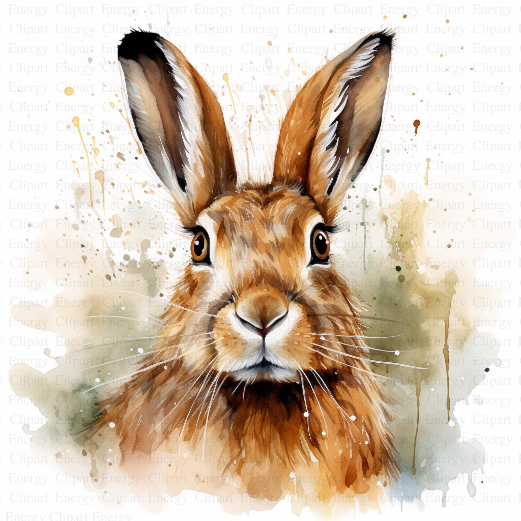 Hare Clipart | 5 High Quality Jpgs | Digital Download | Scrapbooking ...