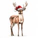 Deer With Santa Hat Clipart | 5 High Quality Jpgs | Digital Download ...