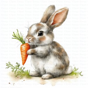Bunny With Carrot Clipart | 5 High Quality Jpgs | Digital Download ...