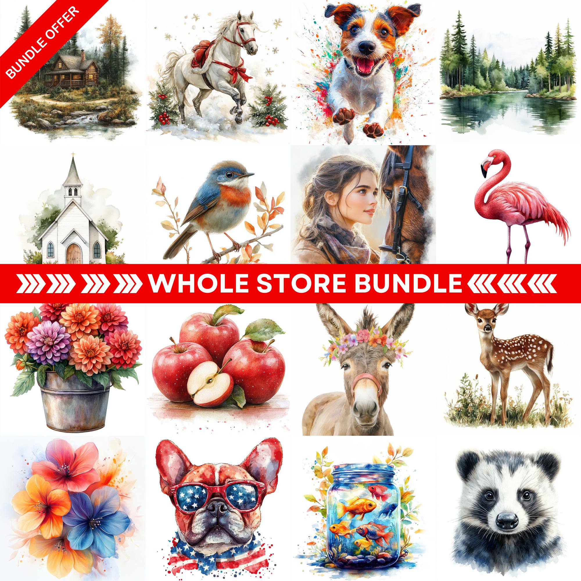 Whole Store Clipart Bundle – All Products + Future Releases | High ...