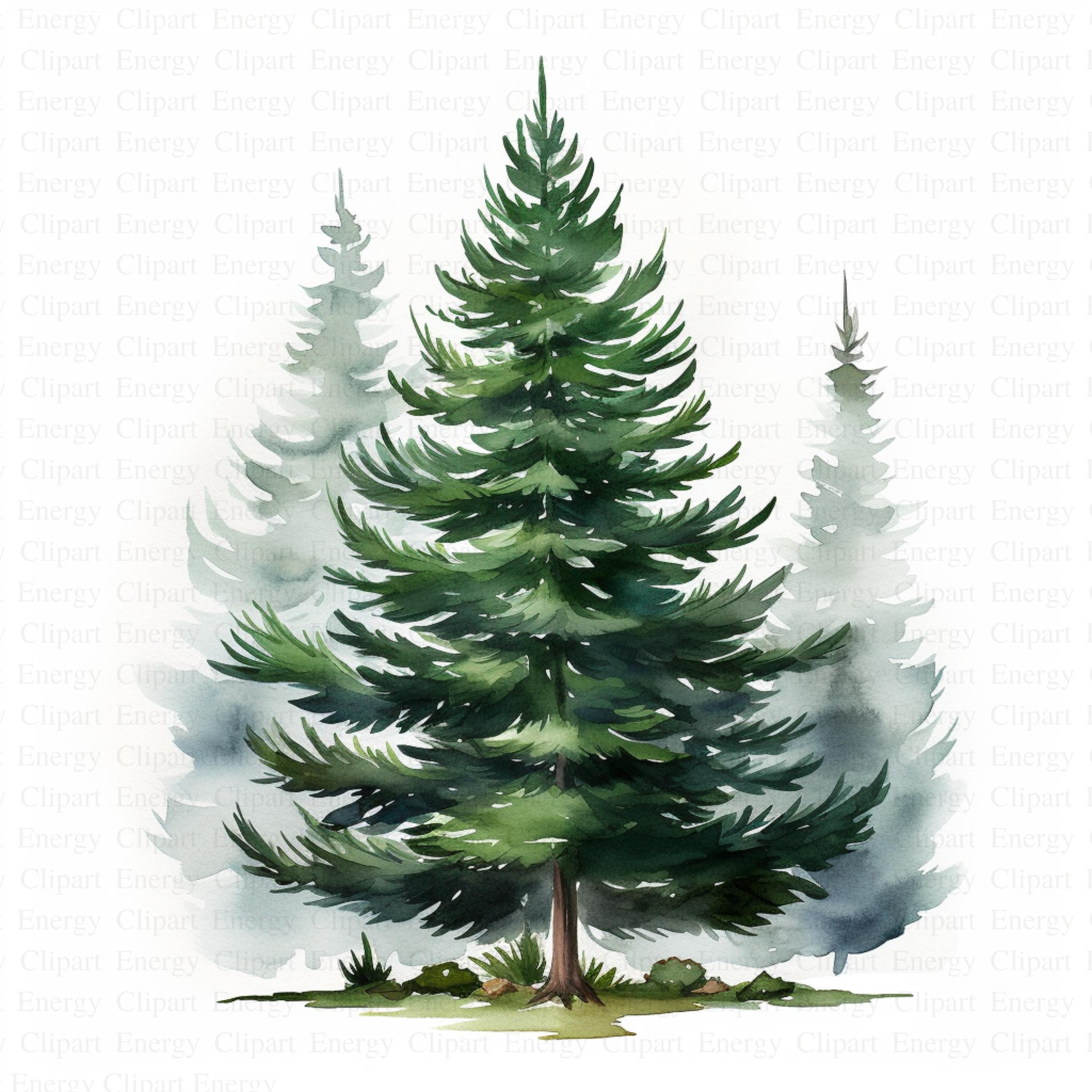 Fir Trees Clipart | 5 High Quality Jpg's | Digital Download | Forest ...