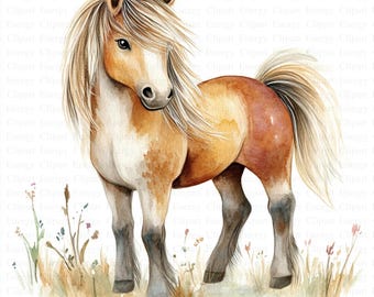 Pony Clipart 10 High Quality Jpg's Digital Download Horse Graphics ...