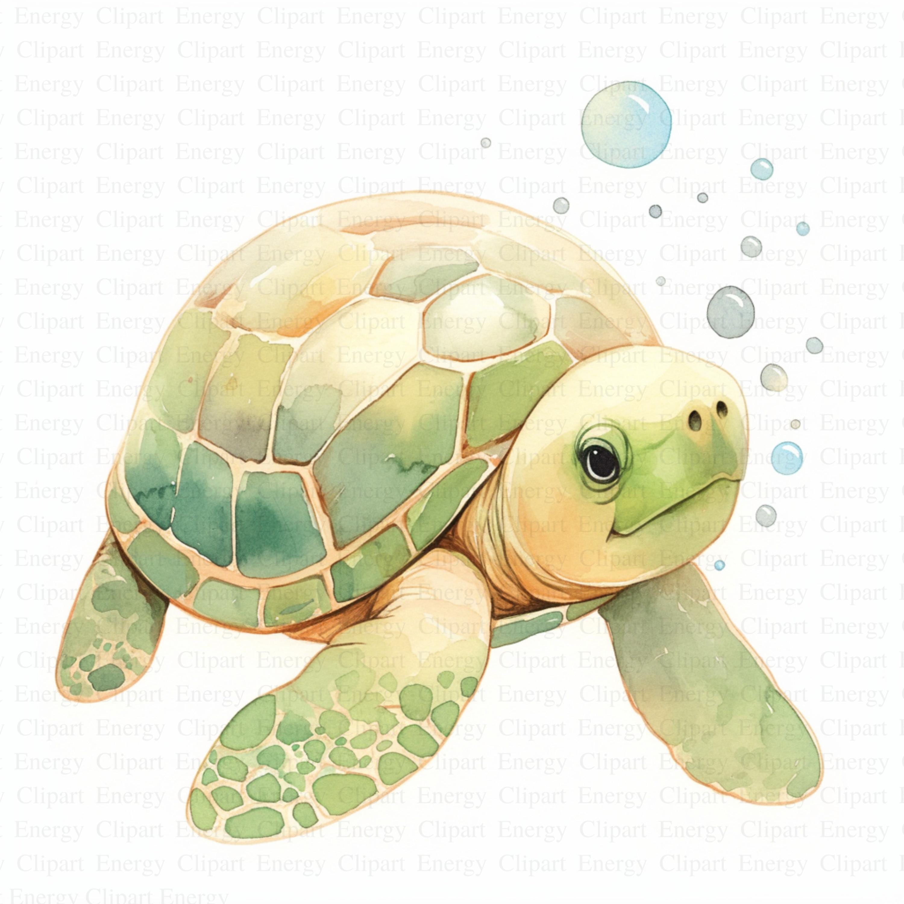 Watercolor Cute Tortoise Clipart | 5 High Quality Jpg's | Digital ...