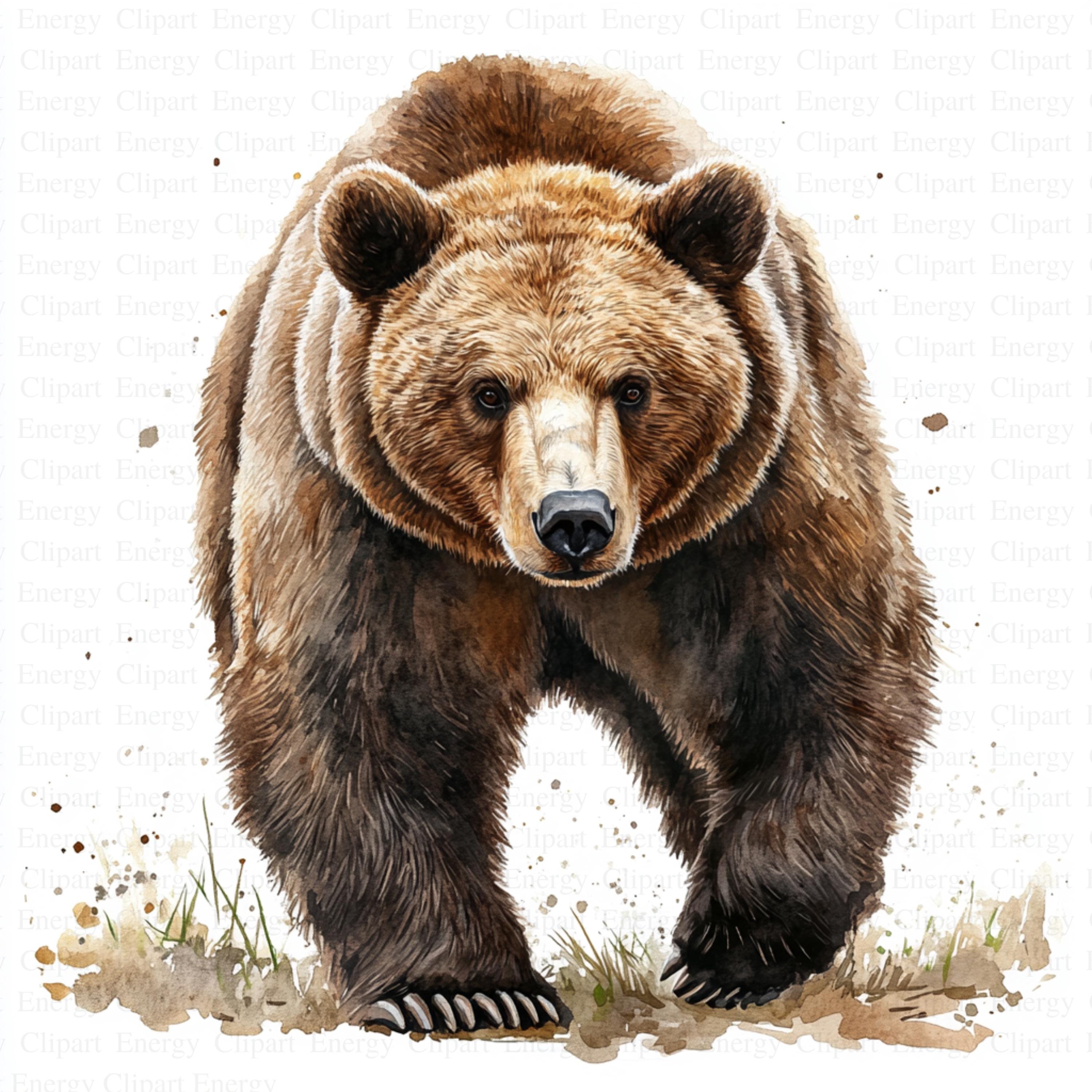 Grizzly Bear Clipart | 5 High Quality Jpg's | Digital Download ...