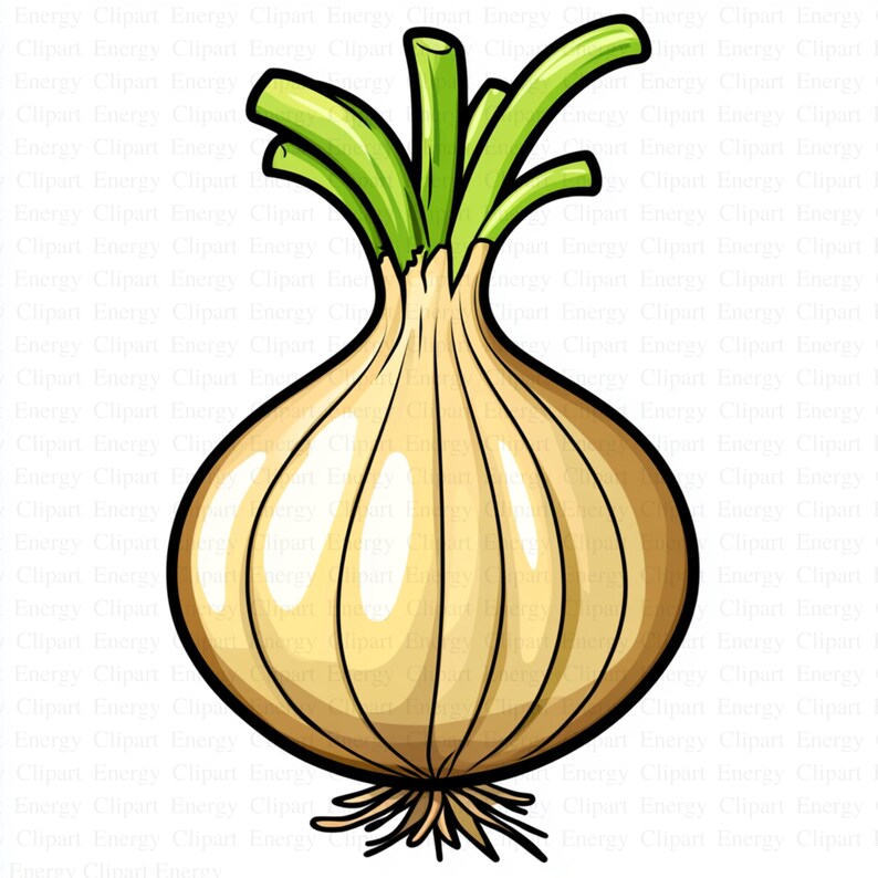 Onion Clipart | 5 High Quality Jpg's | Digital Download | Onion ...