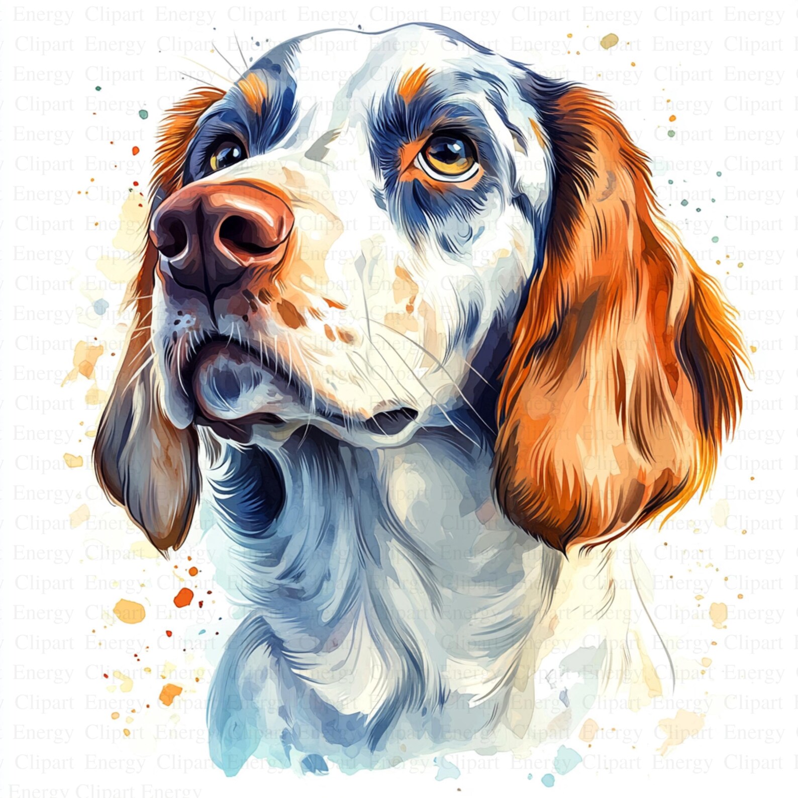 English Setter Clipart 5 High Quality Jpg's Digital Download Dog Art ...