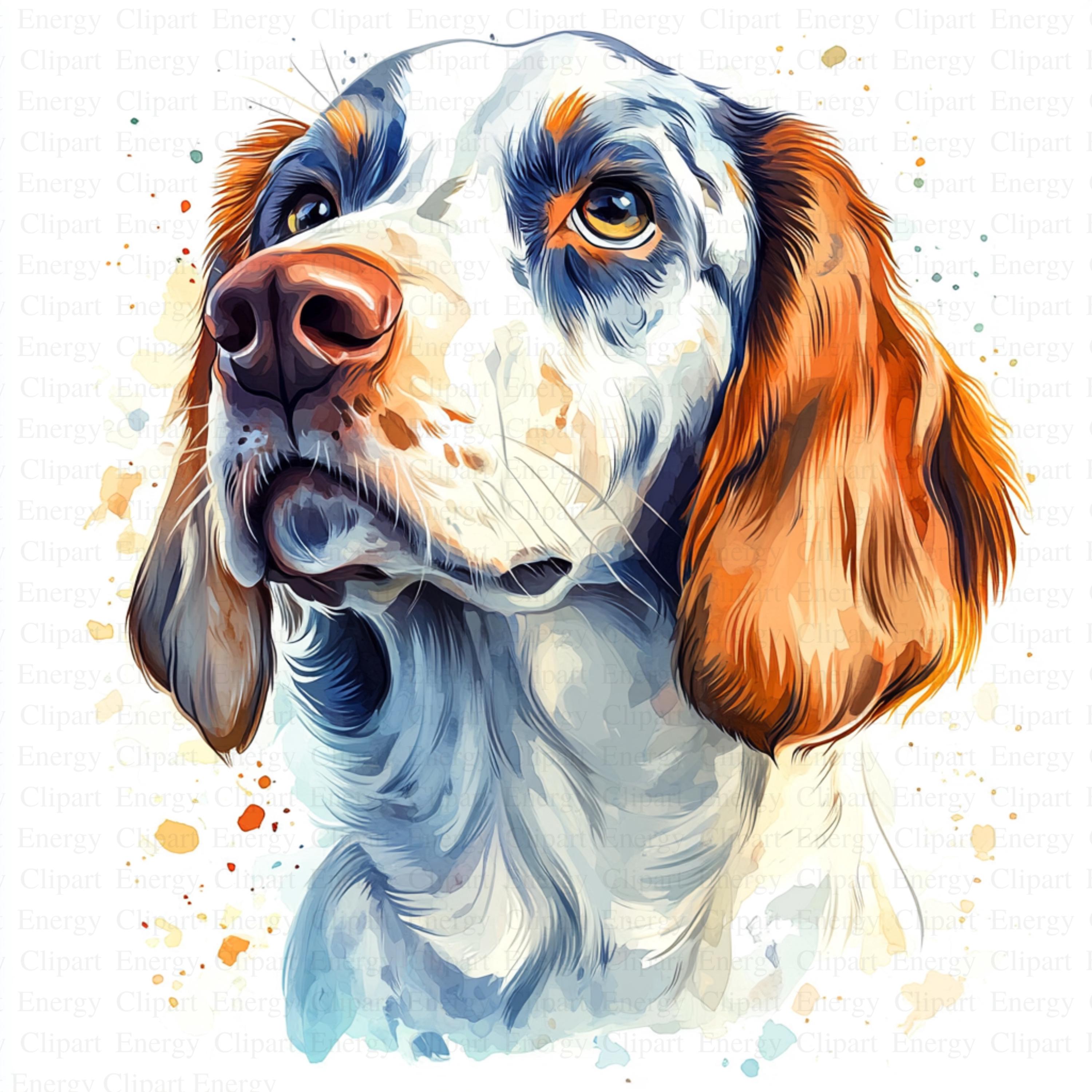 English Setter Clipart 5 High Quality Jpg's Digital Download Dog Art ...