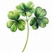 Watercolor Shamrock Clipart | 5 High Quality Jpg's | Digital Download ...