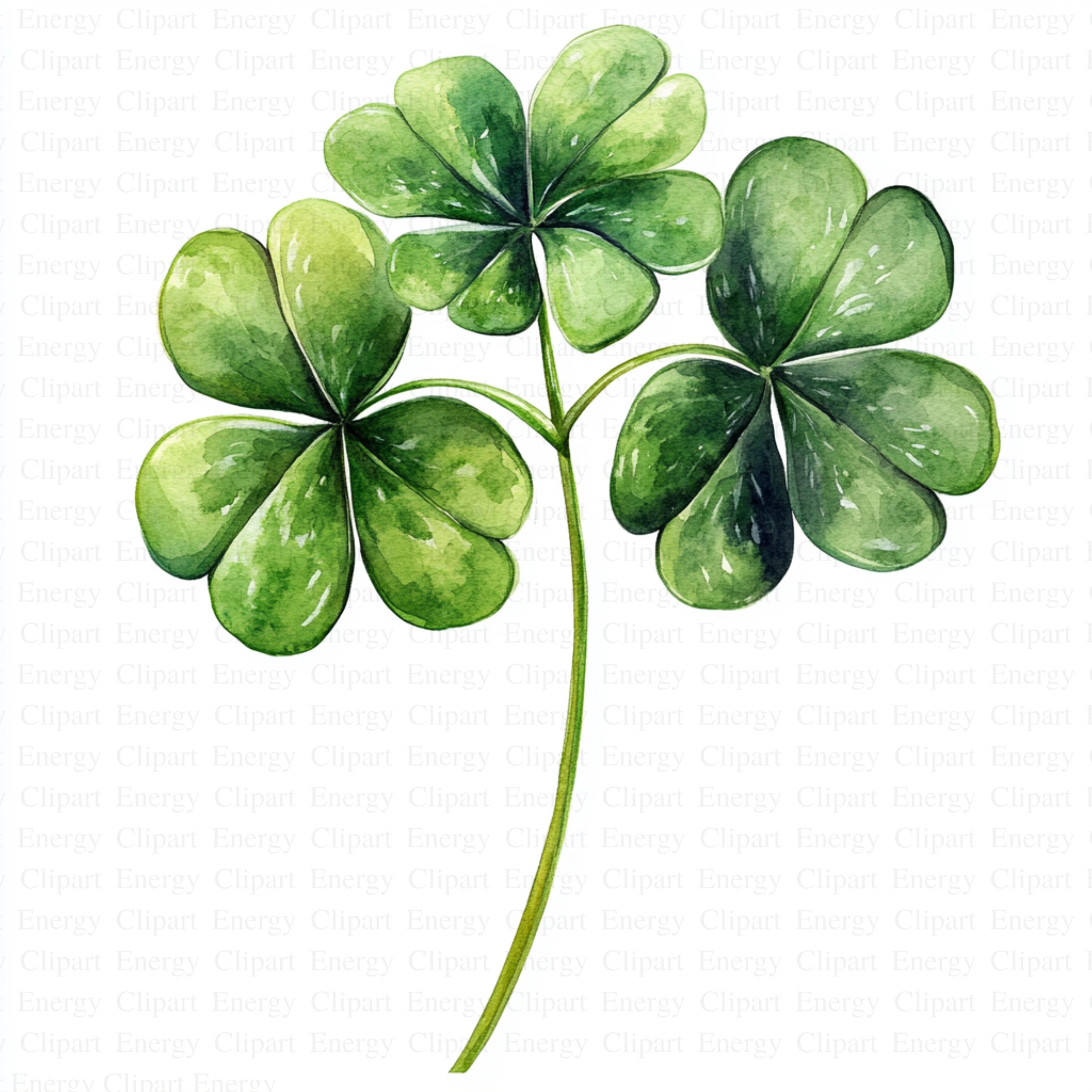 Watercolor Shamrock Clipart | 5 High Quality Jpg's | Digital Download ...