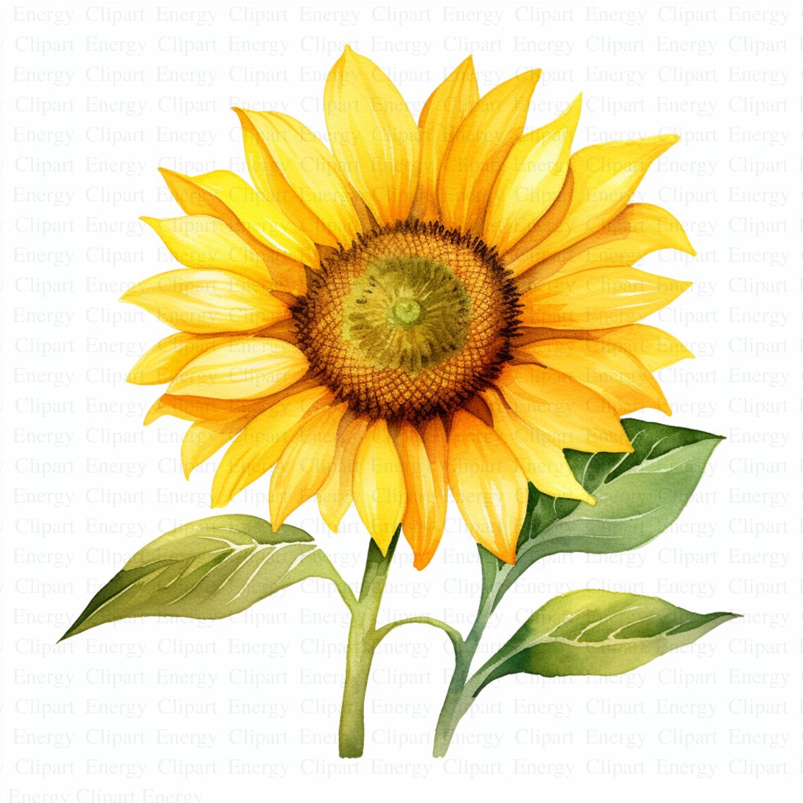 Sunflower Clipart | 5 High Quality Jpg's | Digital Download | Bright ...