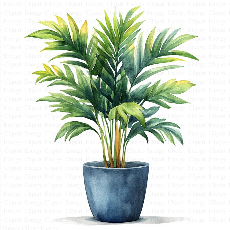 Houseplant Clipart | 5 High Quality Jpg's | Digital Download | Indoor ...