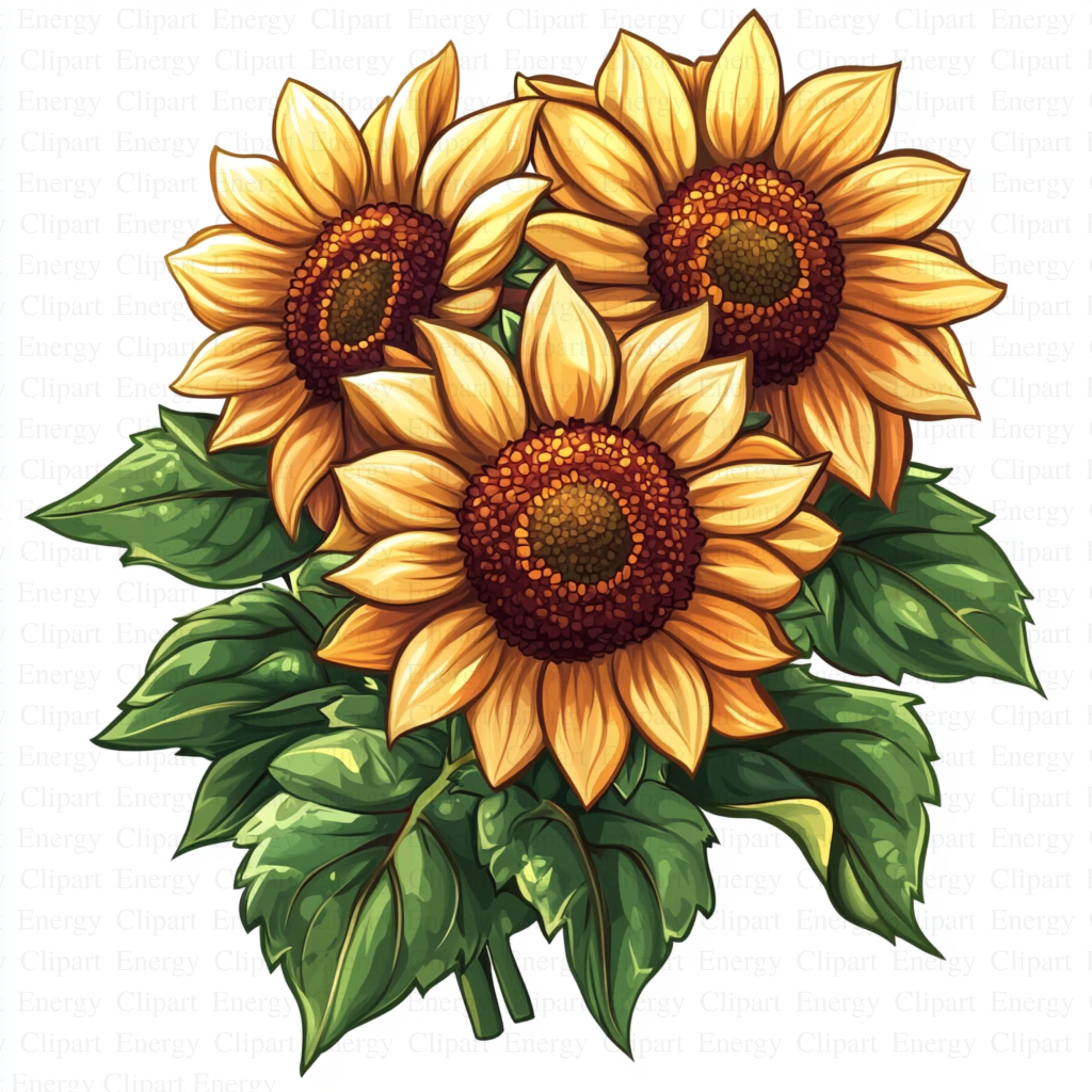 Sunflower Clipart | 5 High Quality Jpg's | Digital Download | Bright ...