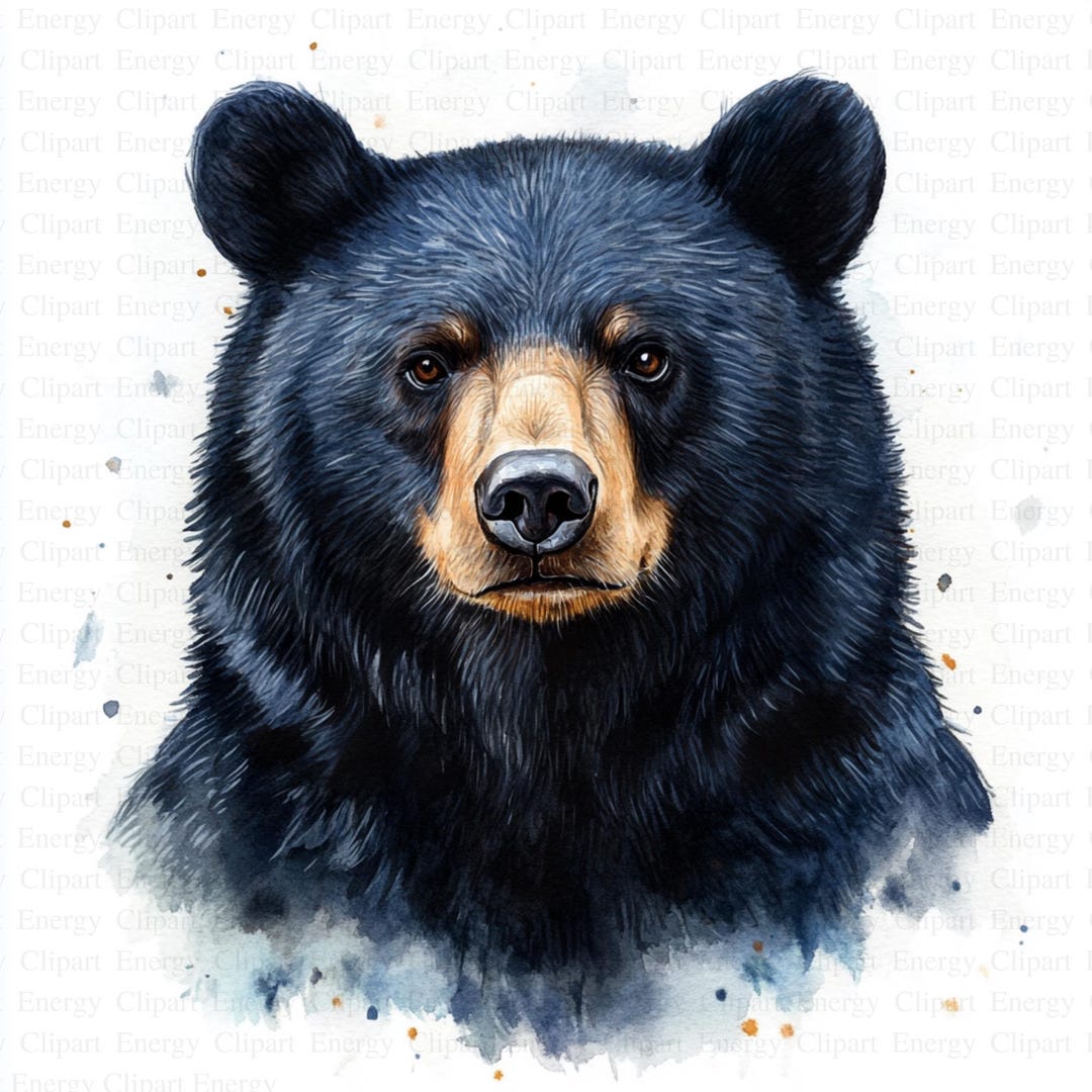 Watercolor Black Bear Clipart | 5 High Quality Jpgs | Digital Download ...