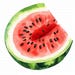Watermelon Clipart | 5 High Quality Jpgs | Digital Download | Summer ...