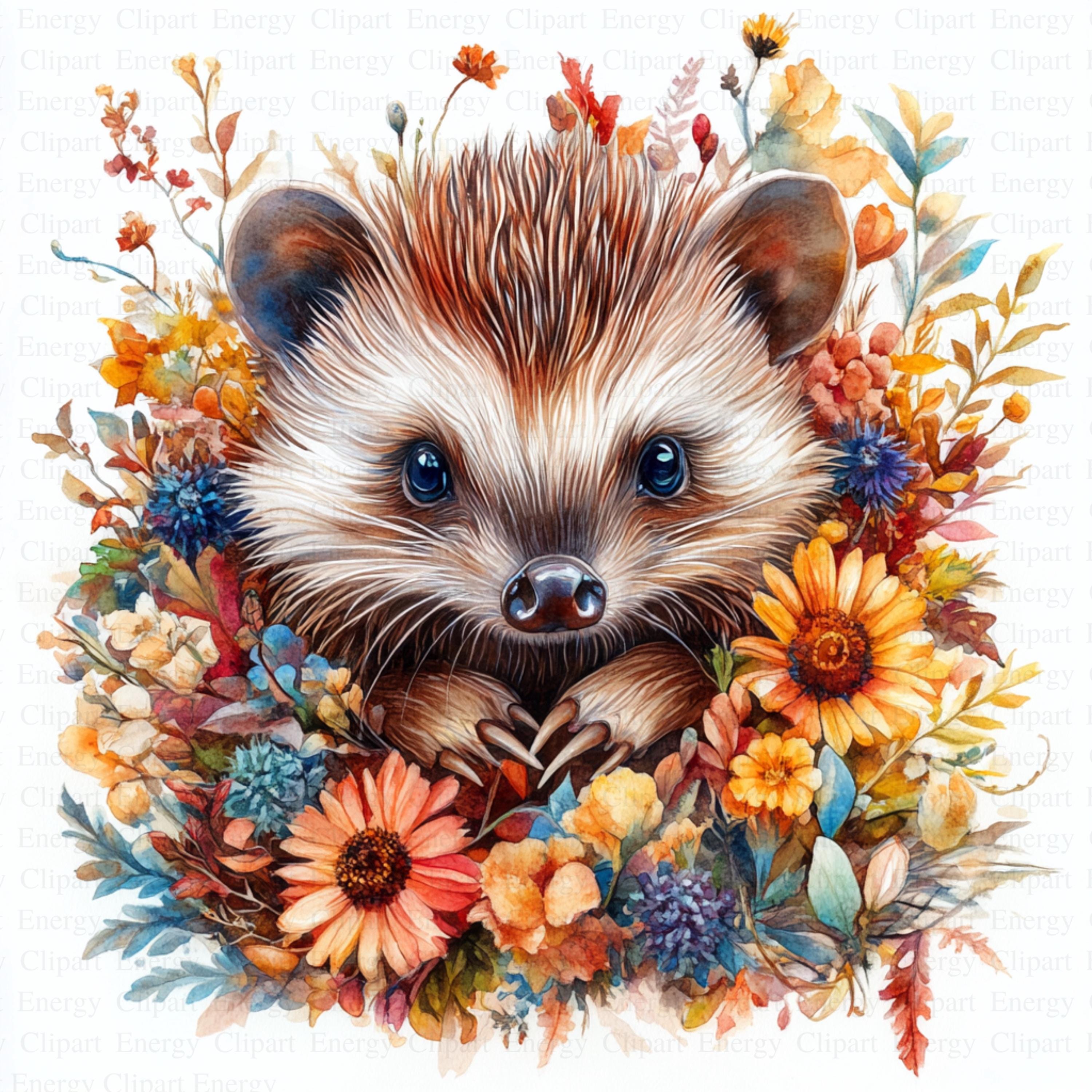 Floral Hedgehog Clipart 5 High Quality Jpg's Digital Download Woodland ...