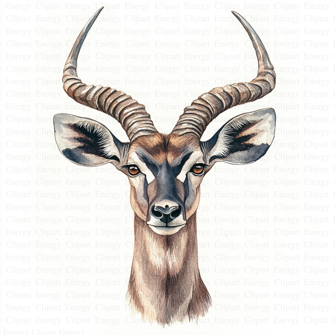 Great Kudu Clipart | 5 High Quality Jpg's | Digital Download | Majestic ...