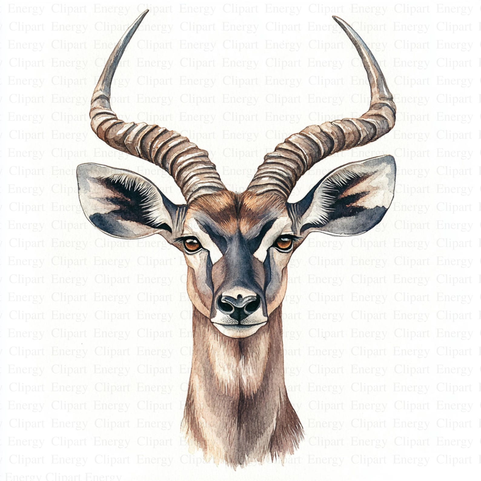 Great Kudu Clipart | 5 High Quality Jpg's | Digital Download | Majestic ...